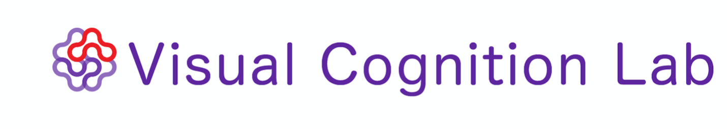 Visual Cognition Lab - Ortak Dersler Bölümü